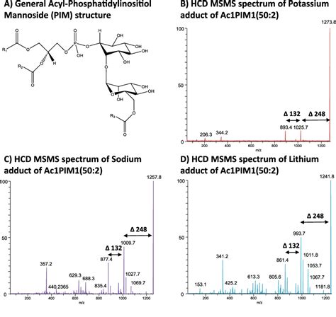 Figure 2 From Direct Liquid Extraction Surface Analysis Mass Spectrometry Of Cell Wall Lipids