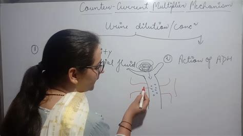 Dilution Multiplier At Quyen Elliott Blog