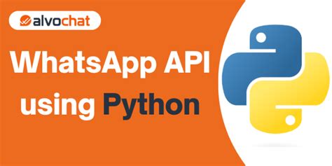 How To Send A Whatsapp Api Using Python 2024