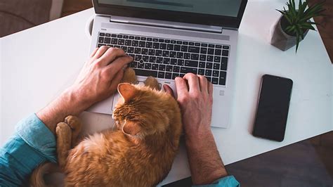 Gcse Ict Wjec Bbc Bitesize