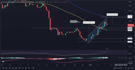 Cardano Price Prediction What Does Whale Accumulation Mean For Ada · Cardano Feed