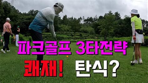 파크골프 쾌재 부르기도 하고 탄식 하기도 하는 3타 전략 도전 입니다 평창 대화파크골프장 B코스 라운드 영상 입니다 Youtube
