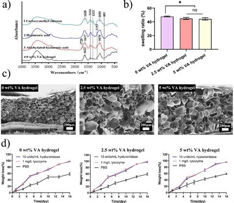A Ftir Of Carboxymethyl Chitosan Hyaluronic Acid Aldehydated