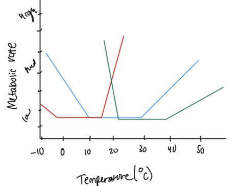 Biol 303 Exam 2 Flashcards Flashcards Quizlet