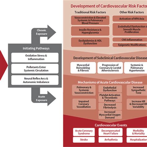 Biological Pathways Linking Air Pollution With Cardiovascular Disease