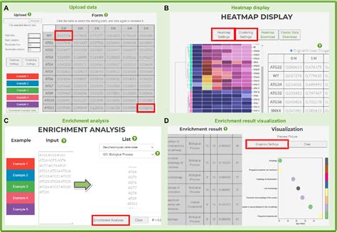 Figure 3 From Hemi 20 An Online Service For Heatmap Illustration Semantic Scholar