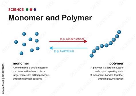 Understanding Chemistry From Monomer To Polymer Monomers The Building Blocks Of Polymers