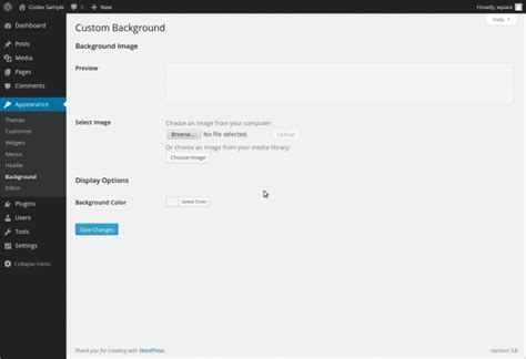 Appearance Background Screen Wordpress Codex