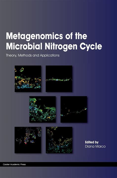 Metagenomics Of The Microbial Nitrogen Cycle Theory Methods And Applications