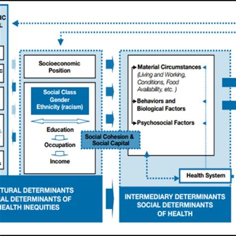 conceptual social determinants of health framework adapted from the