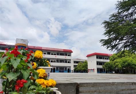 最美家乡推荐官之最美校园泸溪县白沙小学孩子们眼里的诗意校园 纵观 新湖南