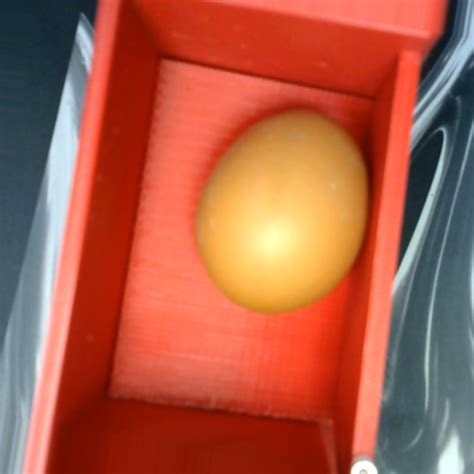 Eggs Object Detection Dataset And Pre Trained Model By Testrain