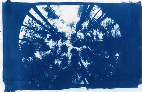 Cyanotype Photography