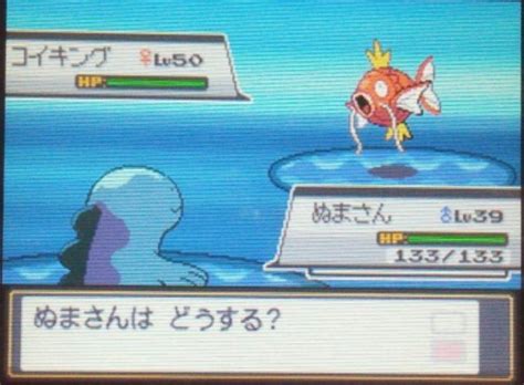 最も人気のある！ ポケモン Hgss レベル 上げ 983548 ポケモン なつき度 上げ方 Hgss
