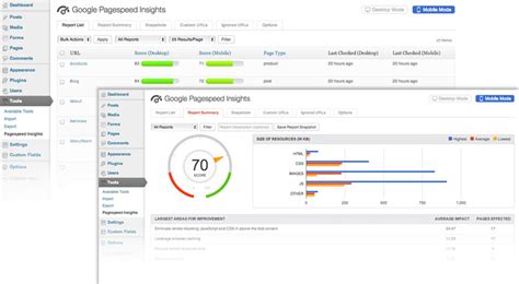 Google Pagespeed Insights For Wordpress Documentation