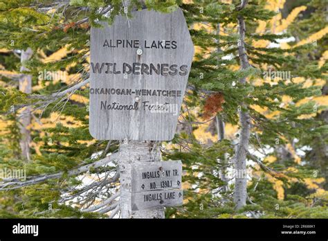 A Sign Warning Of Fallen Branches From A Tree Is Posted At Its Base Stock Photo Alamy