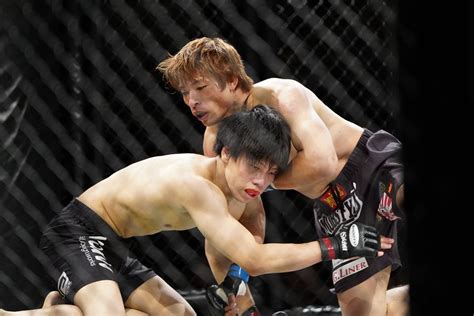 Gigio On Twitter プロ修斗福岡大会 Torao29 第8試合 フェザー級 5分2r 大関 純（master Japan Yamaguchi Ube） Hammer Katu