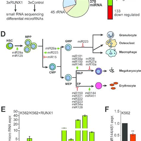 Identification Of Runx1 Regulated Micrornas A Schematic Download Scientific Diagram