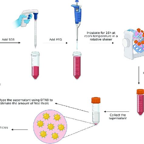 Schematic Representation Of Pegylated Gold Nanoparticle Synthesis