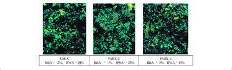 Threshold Segmentation For Fracture Surface Of Sample Subjected To Download Scientific