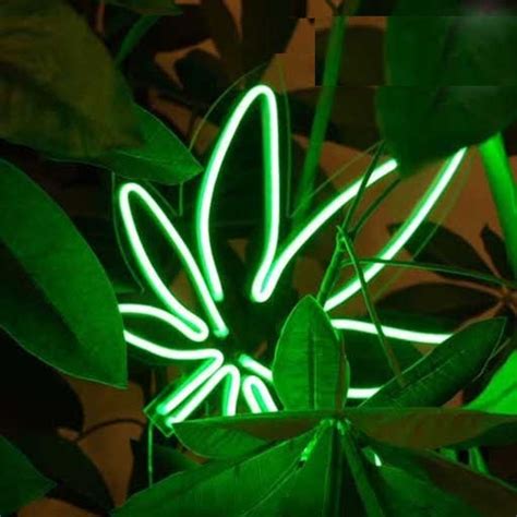 مصرف ماری‌جوانا قانونی می‌شود؛ از دوشنبه در آلمان جزئیات قانون جدید چیست؟