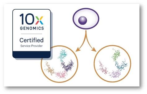 Active Motif On Linkedin One Cell Two Readouts Single Cell Multiome Rna Seq And Atac Seq Is One
