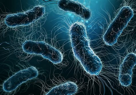 Clostridioides Difficile Colonization And Infection In Patients With Cancer Ons Voice