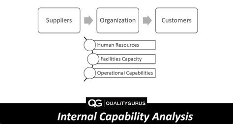 Internal Capability Analysis Quality Gurus