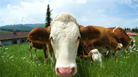 Esa Monitoring Methane From Space