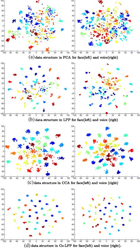 2 D T Sne Visualizations Of Data Structures Under Pca Lpp Cca And