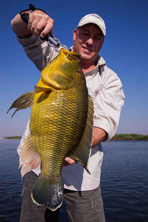 Artificial Lure For Bream Anglers Talk Magazine