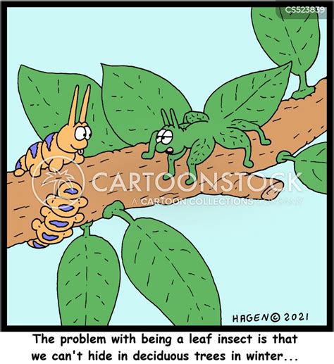 Maple Leaf Cutter Bug