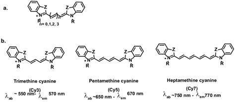 9 A The General Molecular Structure Of Cyanine Dyes B The Download Scientific Diagram
