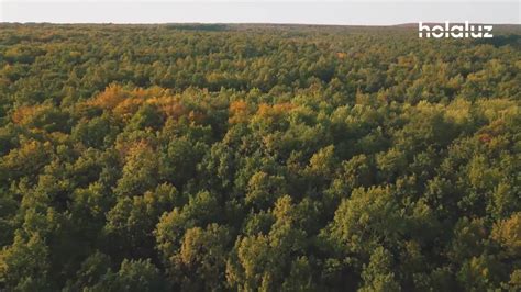 Carlota Pi Amorós On Linkedin Esposible Keeprowing