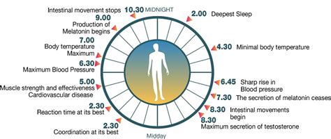 Best Time To Workout At The Gym —