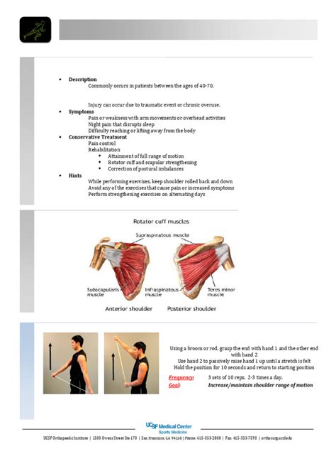 Rotator Cuff Injuries Protocol Pdf Anatomical Terms Of Motion
