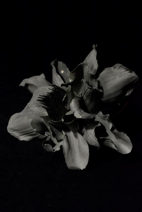 「新宮さやか展 メメント・モリ」 朽ちる瞬間 うつわノート