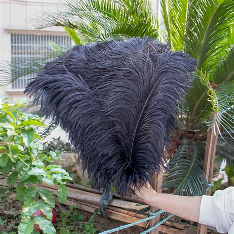 Cheap Ostrich Feathers In Bulk New Arrivals