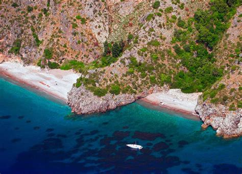 Rosmarinonewsit Sciabica