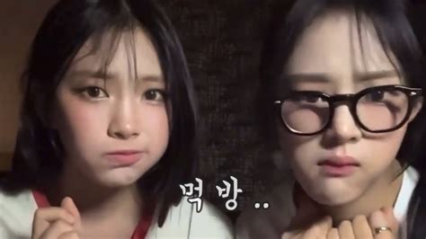 그냥 귀여운 영상 Youtube