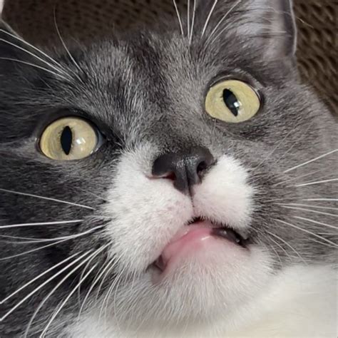 Maddy Maddy Bug Snapchat Stories Spotlight Lenses