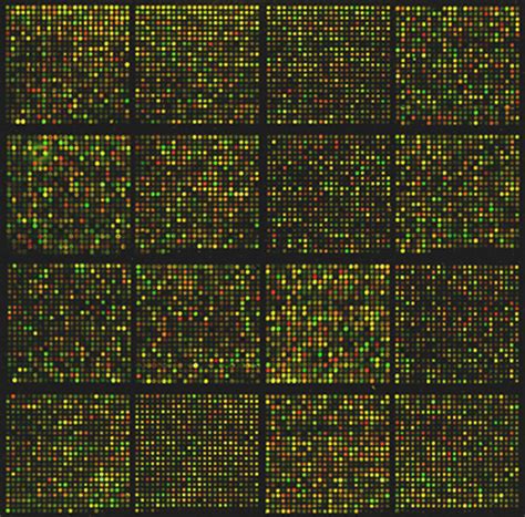 Omics Data Generation And Analysis Group The Alan Turing Institute