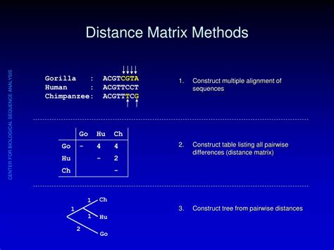 Ppt Distance Matrix Methods Powerpoint Presentation Free Download Id 593710