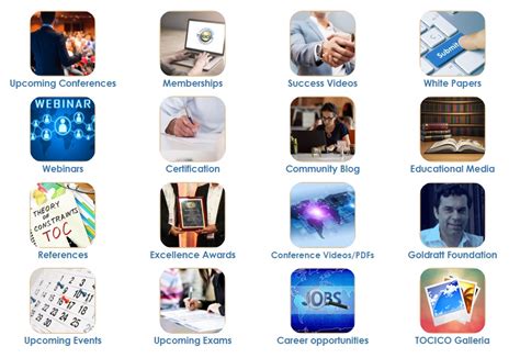 The Value Generated By Tocico Eli Schragenheim