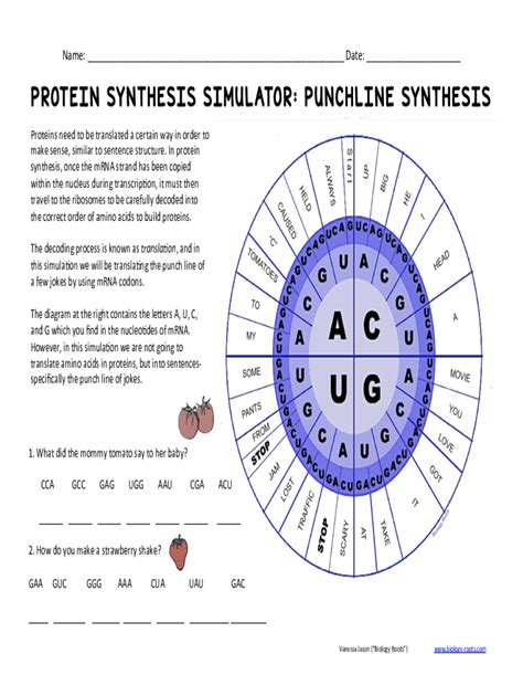 Fillable Online Protein Synthesis Simulation Translating Punch Linesbiology Rootspptx Fax