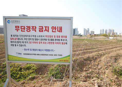 인천 송도국제도시 빈땅 무단 경작하는 주민들로 골머리