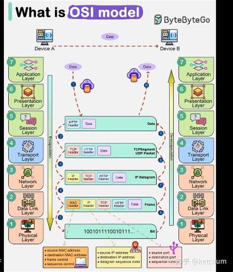 Osi 七层网络模型 知乎 Osi 七层网络模型 知乎