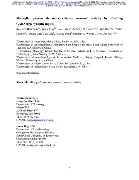 Pdf Microglial Process Dynamics Enhance Neuronal Activity By Shielding Gabaergic Synaptic Inputs