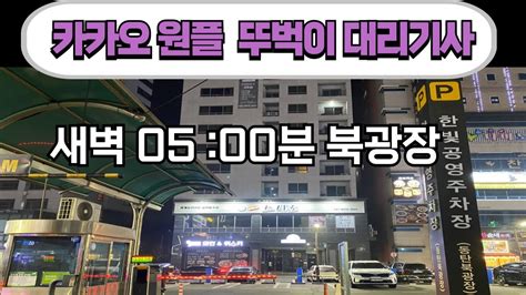 3월12일 수요일 댕이님 만나서반가웠습니다 대리운전 뚜벅이기사 카카오대리운전 알바 투잡 부업 N잡러 전업기사 법인대리기사 카카오프리미엄기사 대리운전브이로그 Vlog