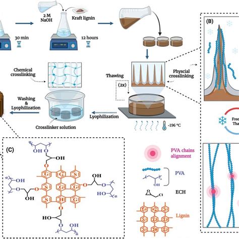 A Schematic Representation Of Perpendicular And Parallel Orientations Download Scientific